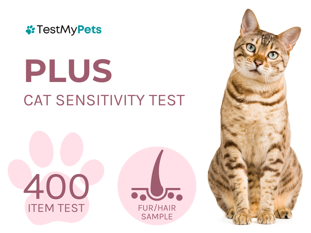 Cat Plus Test – Test My Pets