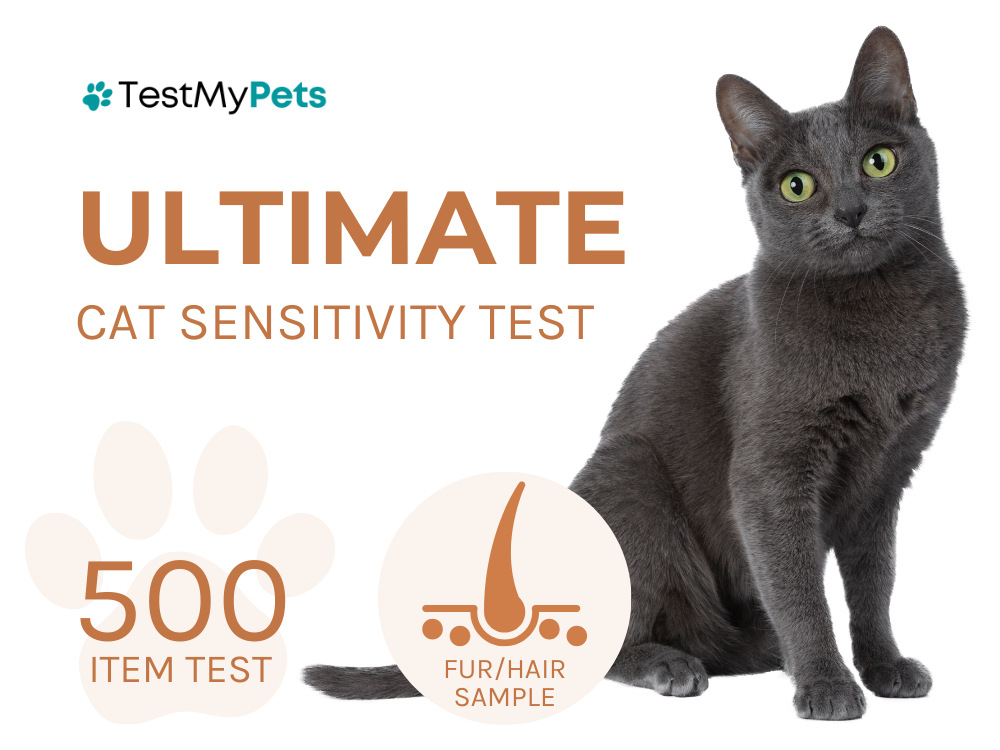 Cat Ultimate Test – Test My Pets