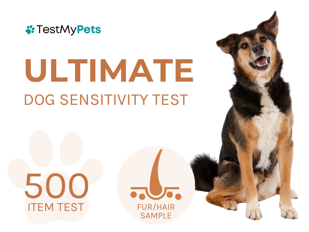 Dog Ultimate Test – Test My Pets