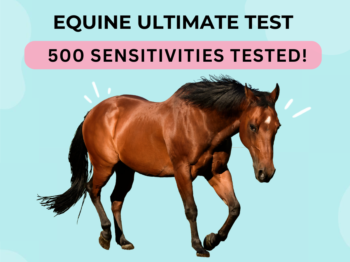 Equine Ultimate Test – Test My Pets